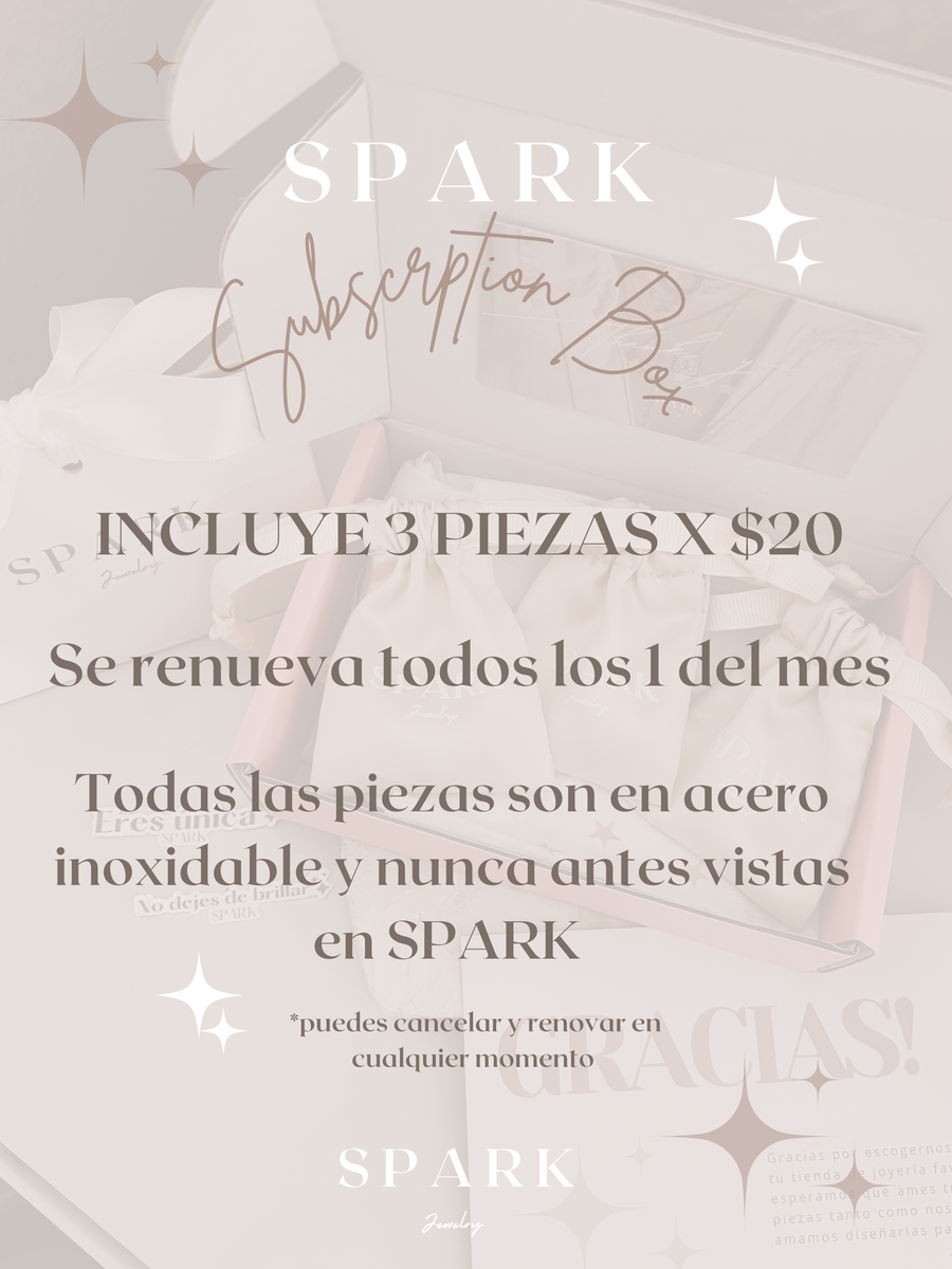 SPARK MONTHLY SUBSCRIPTION BOX- DIC – SPARK JEWELRY